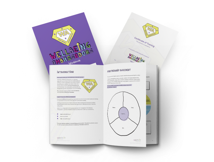 Wellbeing Ambassadors - Peer mentoring support programme